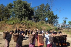 Dept Photos – DEPARTMENT OF AGRICULTURE