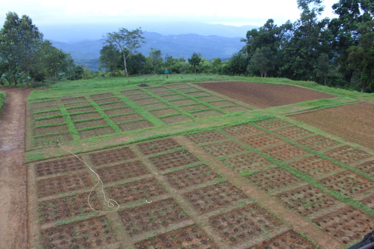 SARS – DEPARTMENT OF AGRICULTURE