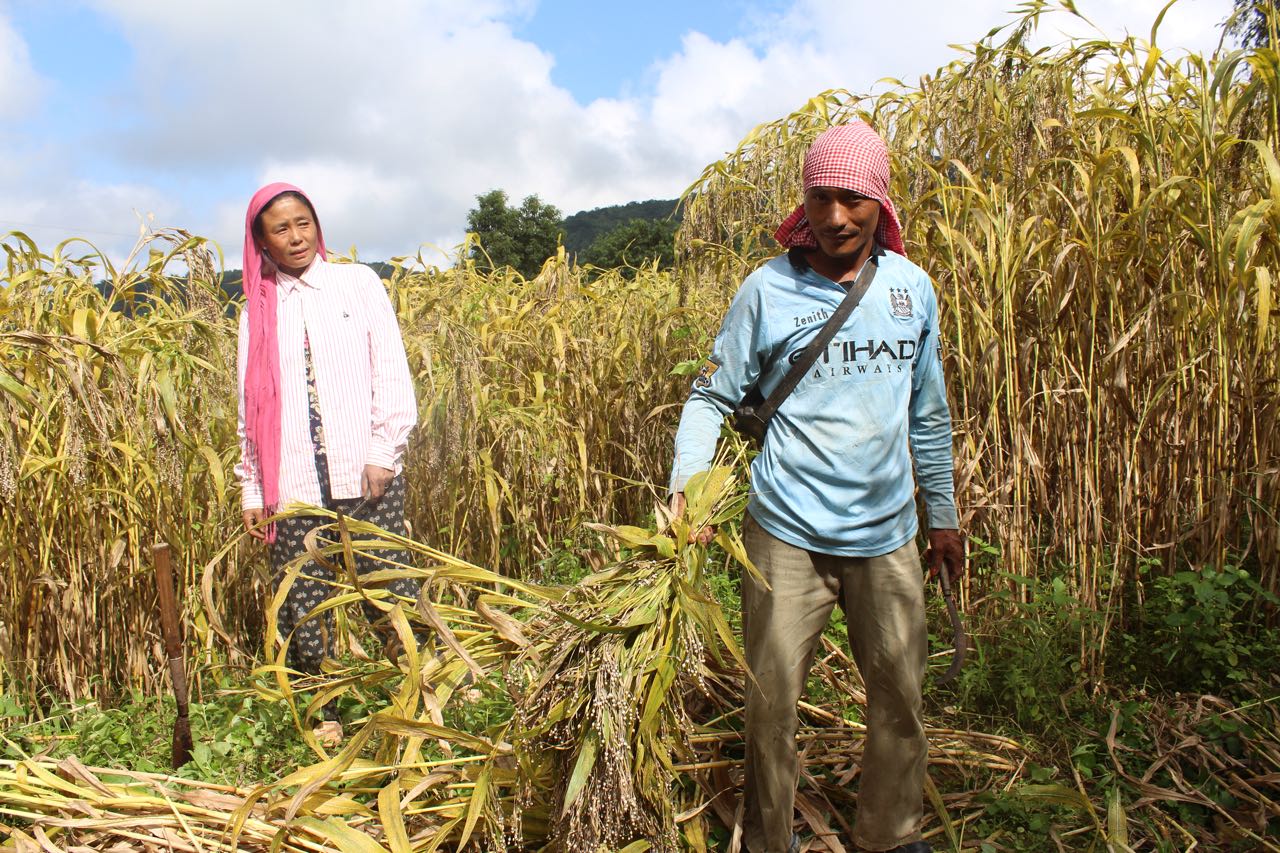 SARS – DEPARTMENT OF AGRICULTURE