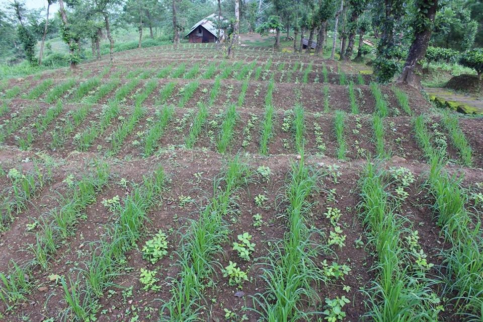 SARS – DEPARTMENT OF AGRICULTURE