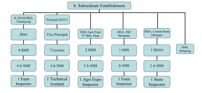 Organizational chart – DEPARTMENT OF AGRICULTURE
