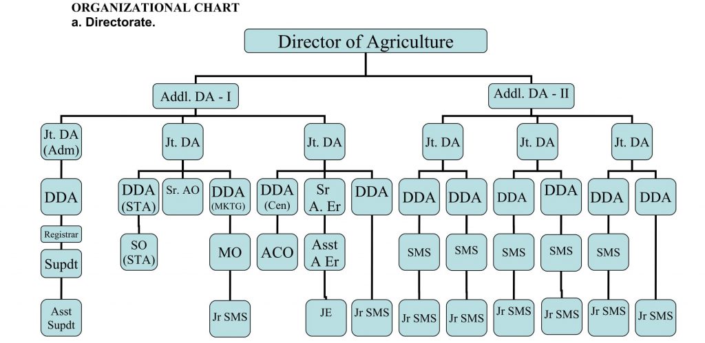 Organizational chart – DEPARTMENT OF AGRICULTURE
